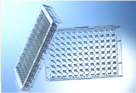 Greiner Bio-One - UV-Star Community, Manuals and Specifications | LabWrench