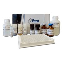 Enzo Life Sciences - Amp'd HSP70 High Sensitivity ELISA Kit Community ...