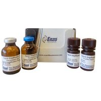 Enzo Life Sciences - Ampd ELISA Signal Amplification Kit Community ...