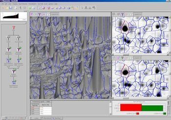 SYNGENE - 2D gel image analysis Community, Manuals and Specifications ...