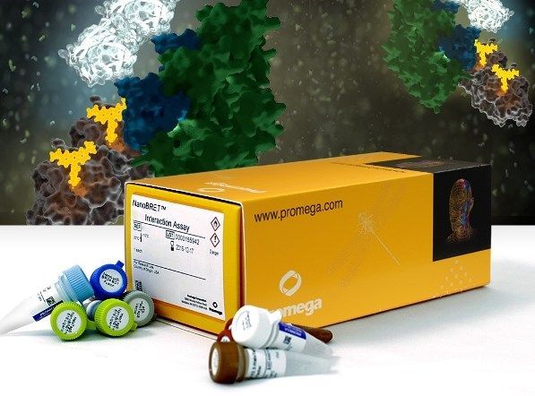 Promega - NanoBRET™ PPI Assays Community, Manuals and Specifications ...