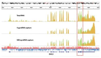 Kapa Biosystems - KAPA Stranded mRNA-Seq Kits Community, Manuals and ...