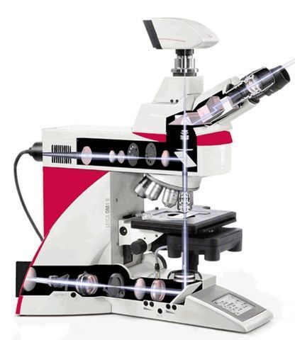 Leica Microsystems - DM4 B / DM6 B Community, Manuals and ...