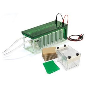 Bio-Rad Laboratories, Inc. - Mini-PROTEAN 3 Dodeca Cell With Multi ...