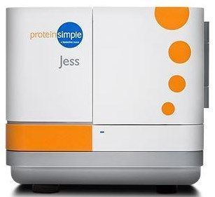 R&D Systems - Protein Simple - Jess Community, Manuals and ...