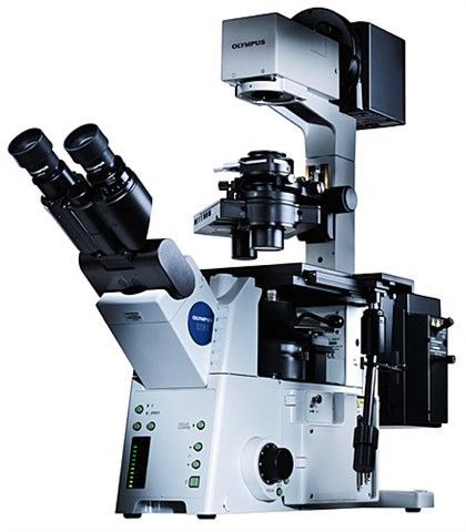 Olympus - IX71/IX81 Community, Manuals and Specifications | LabWrench