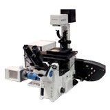 Olympus cell^TIRF Brochure | PDF | LabWrench